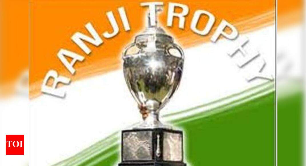 Karnataka will rely on willow power | Bengaluru News - Times of India