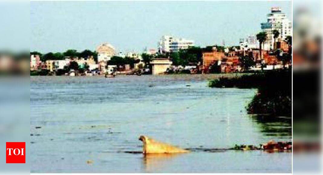 Ganga: Idol immersion makes Ganga polluted | Patna News - Times of India