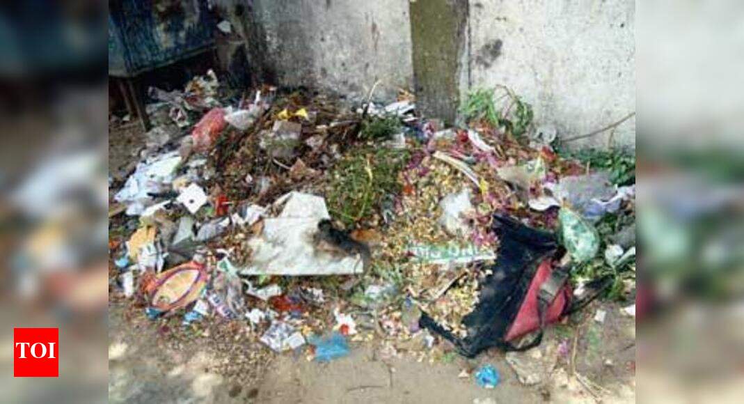 Send back unsegregated waste: Mayor | Bengaluru News - Times of India