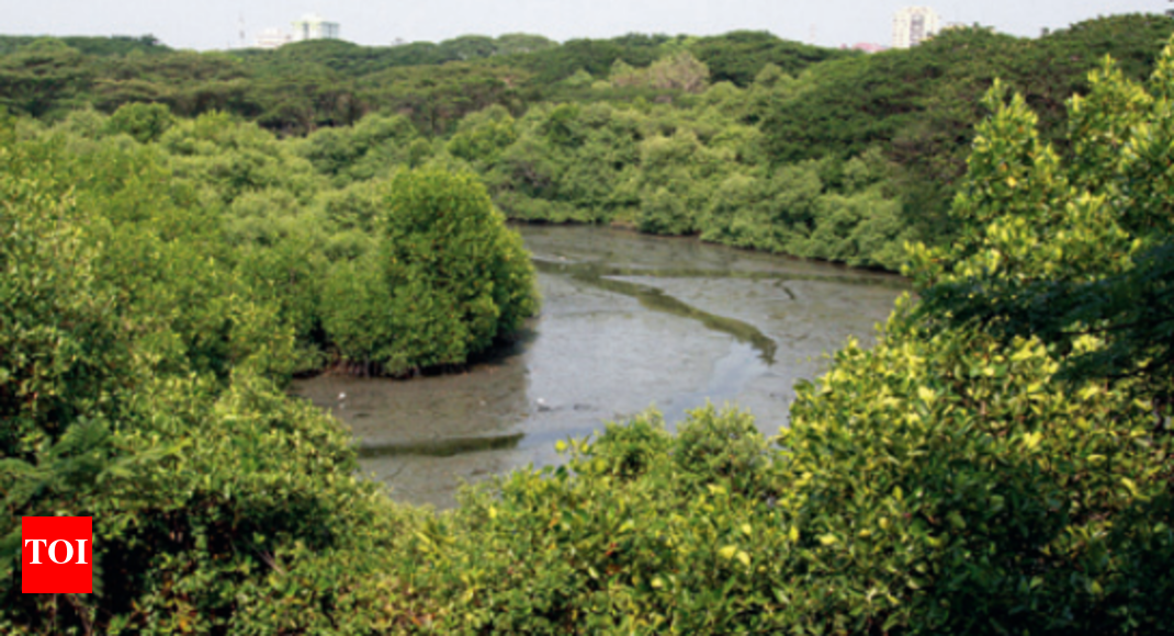 mangalavanam: Panel seeks to revive fortune of Mangalavanam bird ...