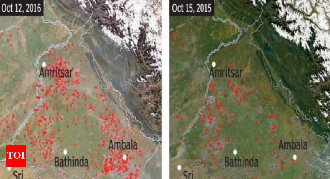 Punjab & Haryana: Crop fires already on in Punjab & Haryana, satellite ...