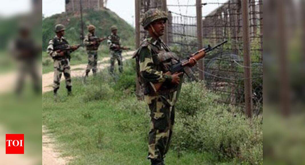 Ceasefire Violation by Pakistan: Jawan killed as Pakistan violates LoC ...
