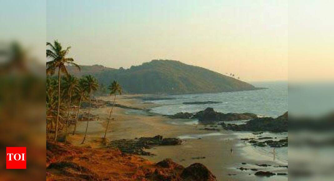 Looming Disaster for Goan Art | Goa News - Times of India