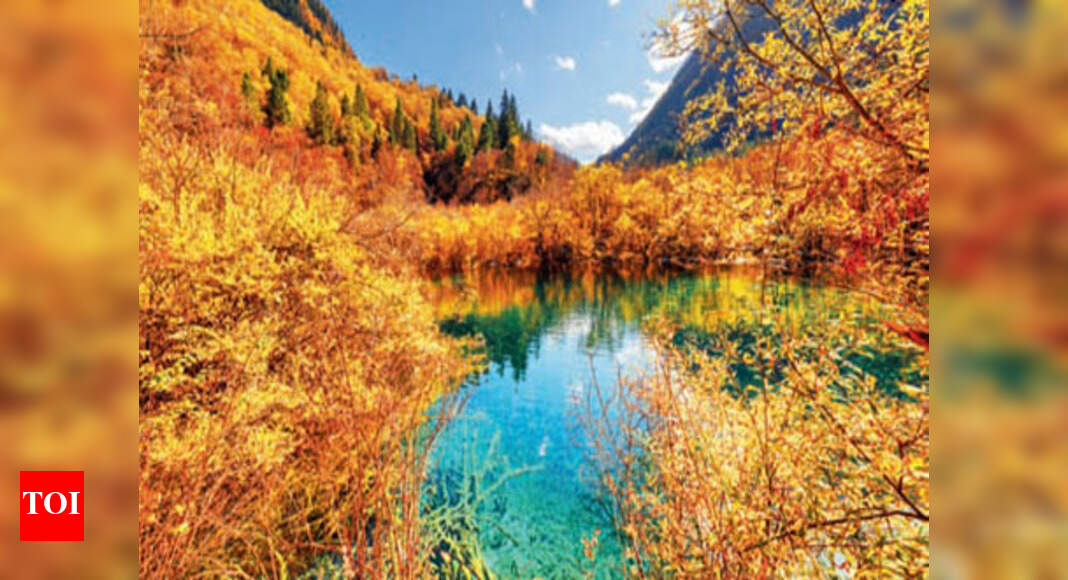 Flock here for fall foliage - Times of India