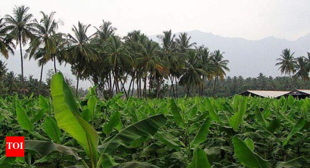 Goa launches scheme to boost organic farming in the state | Goa News ...