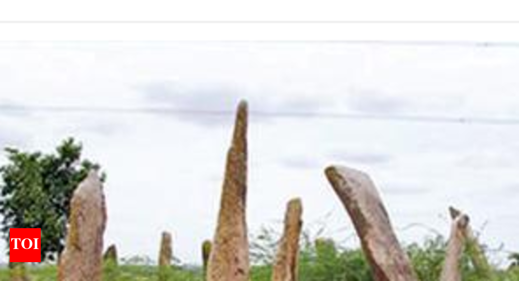 mudumal: Megalith from 5000 bc found in telangana | Hyderabad News ...