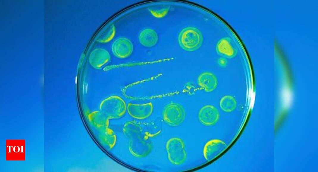 UK develops device capable of diagnosing bacterial infections - Times ...