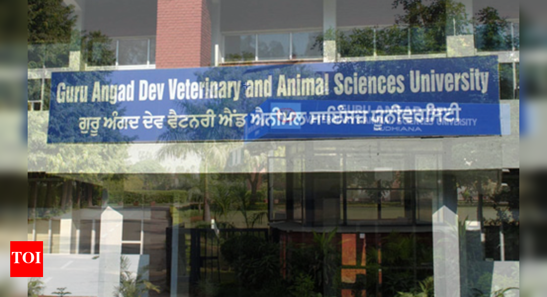 Literary activities take centre stage at Gadvasu | Ludhiana News ...