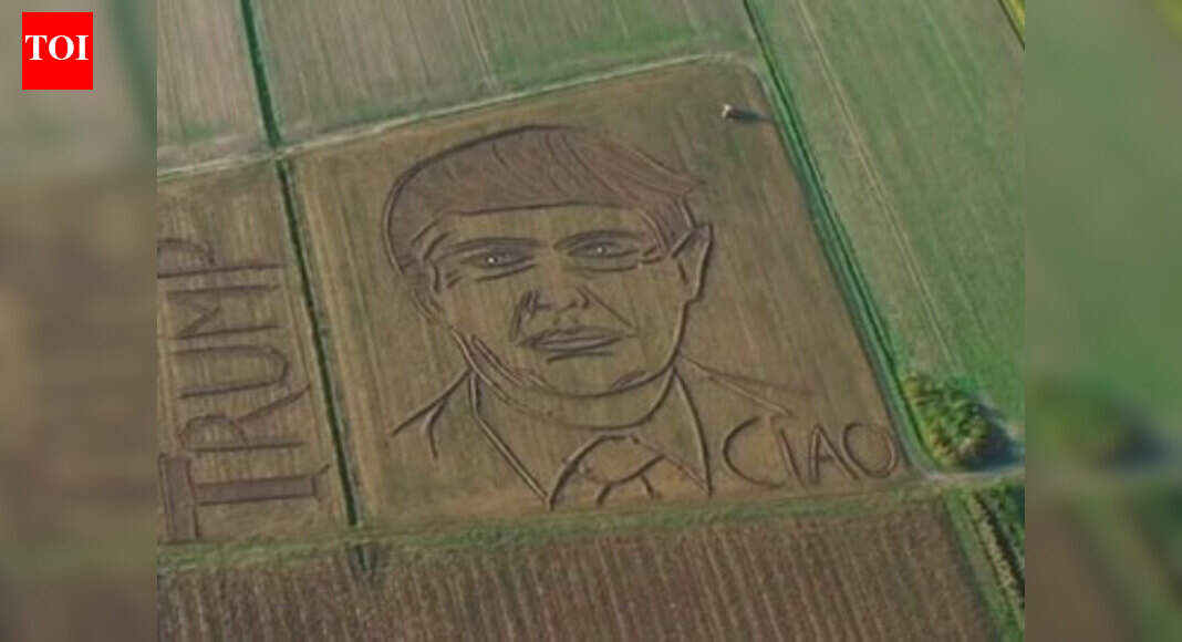 Artist uses tractor to create Trump's portrait in cornfield