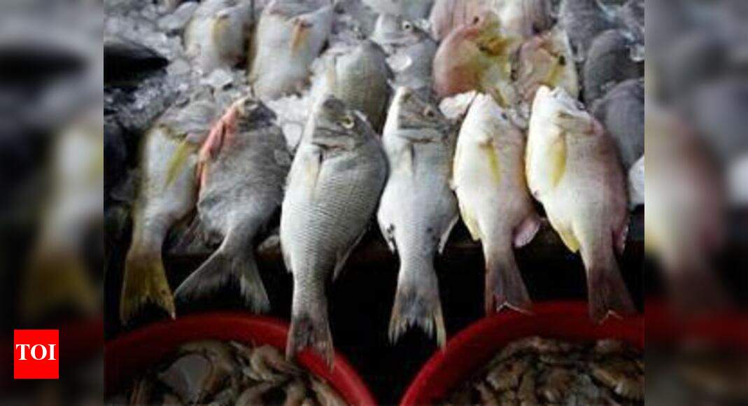 ADAK funding for '1 paddy, 1 fish' scheme | Kochi News - Times of India