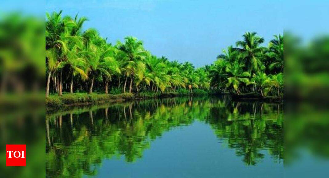 'A tribute to Kerala @ 60' released | Kozhikode News - Times of India
