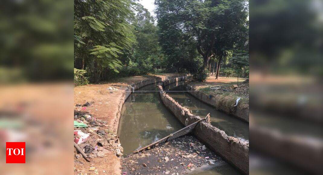 Maharani Bagh: An open drain runs through it - Times of India