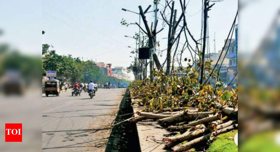 Metro: Uprooted for Metro, trees yet to be translocated | Hyderabad ...