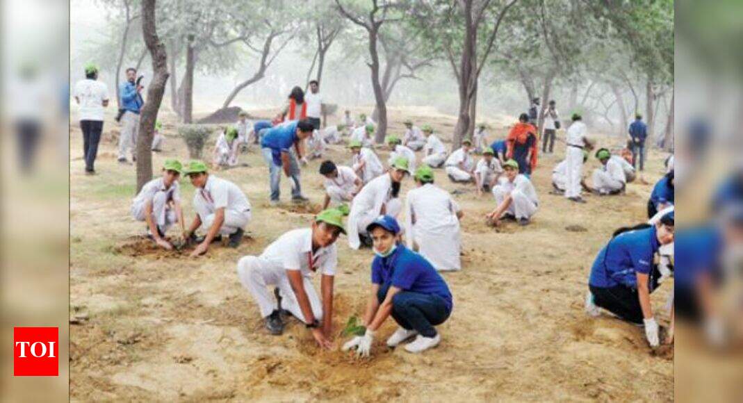 30,000 saplings planted in Delhi | Delhi News - Times of India