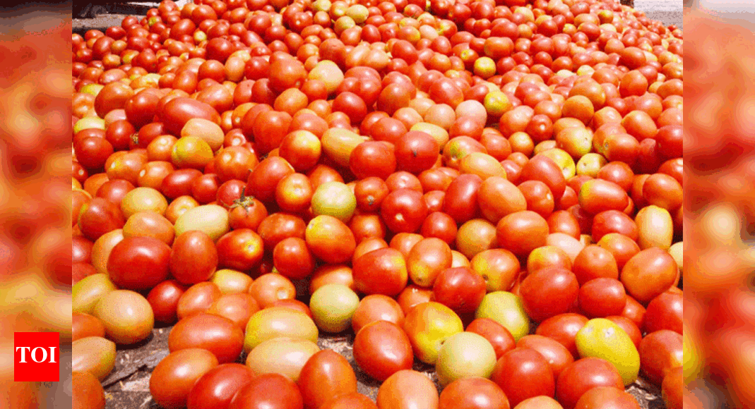 Tomato prices crash to 3 per kg due to surplus production | Madurai ...