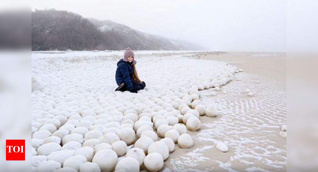 Strange giant snowballs appear on beach in Siberia - Times of India