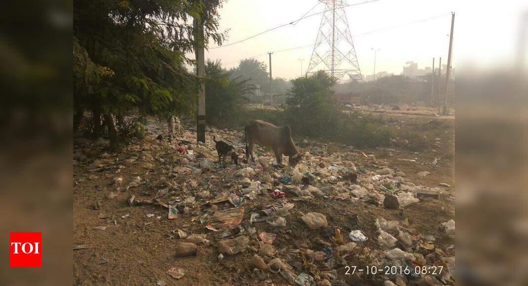 Gurgaon green belt now a garbage dump - Times of India