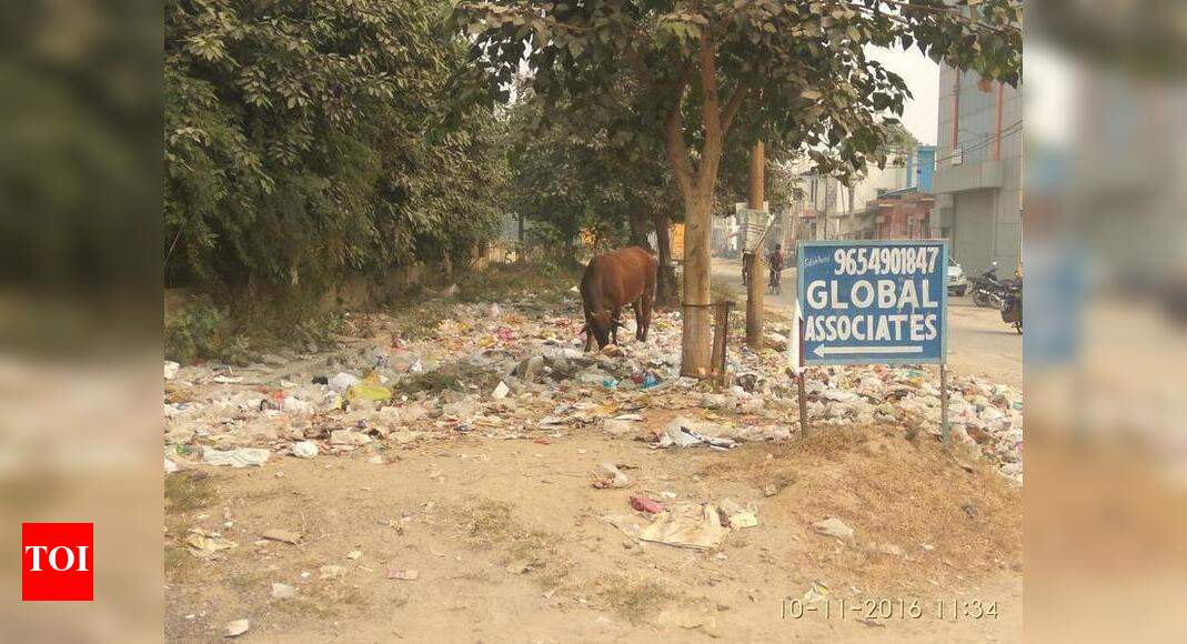 Roadside is a trash bin - Times of India