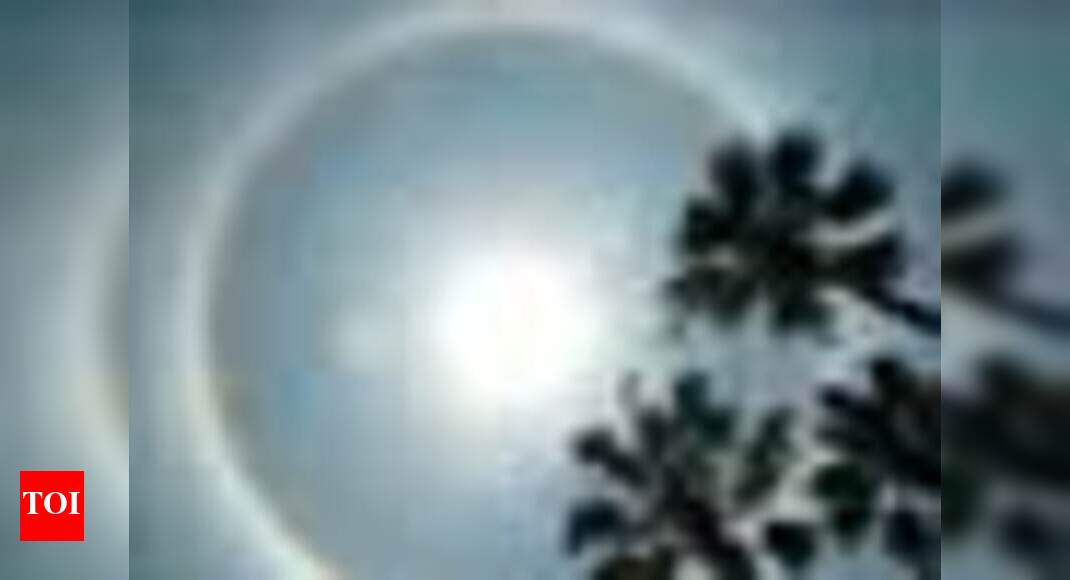 Global warming helping trees grow faster - Times of India