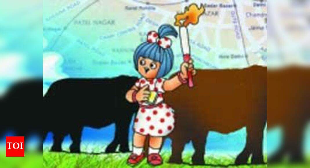 Amul dairy booths in the city soon | Jaipur News - Times of India