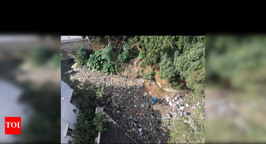 Ejipura drain a cesspool - Times of India