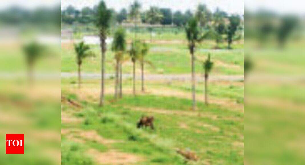 Bengaluru Urban dist has 6,000 acres of illegal layouts | Bengaluru ...