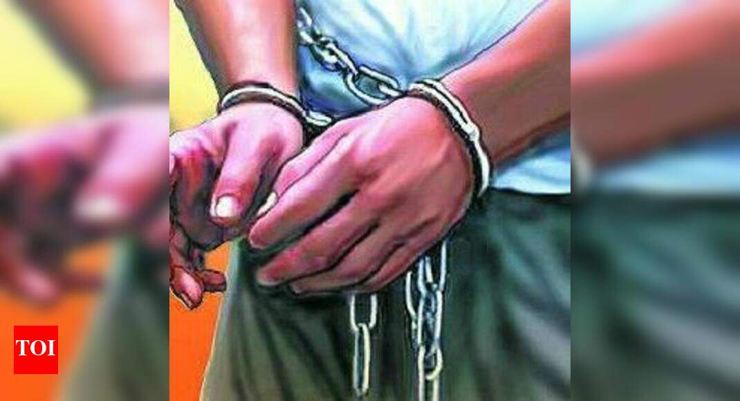 Pregnant woman, friend arrested for snatching chains | Chennai News ...