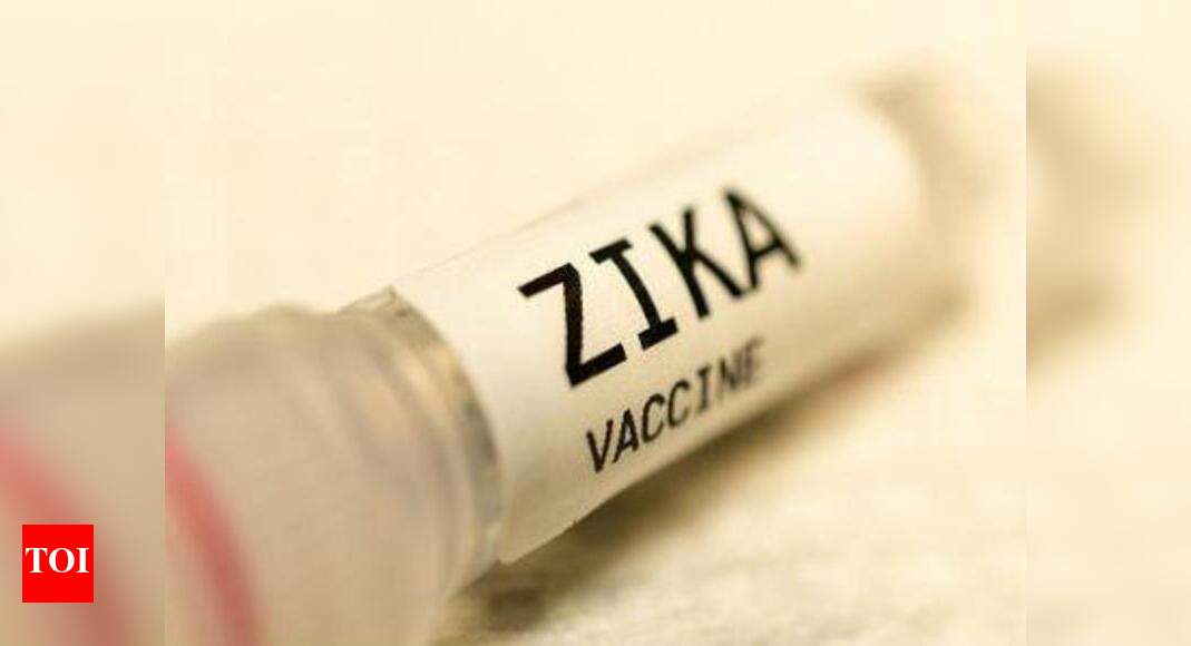 Zika: Novel tool to may lead to Zika vaccines - Times of India