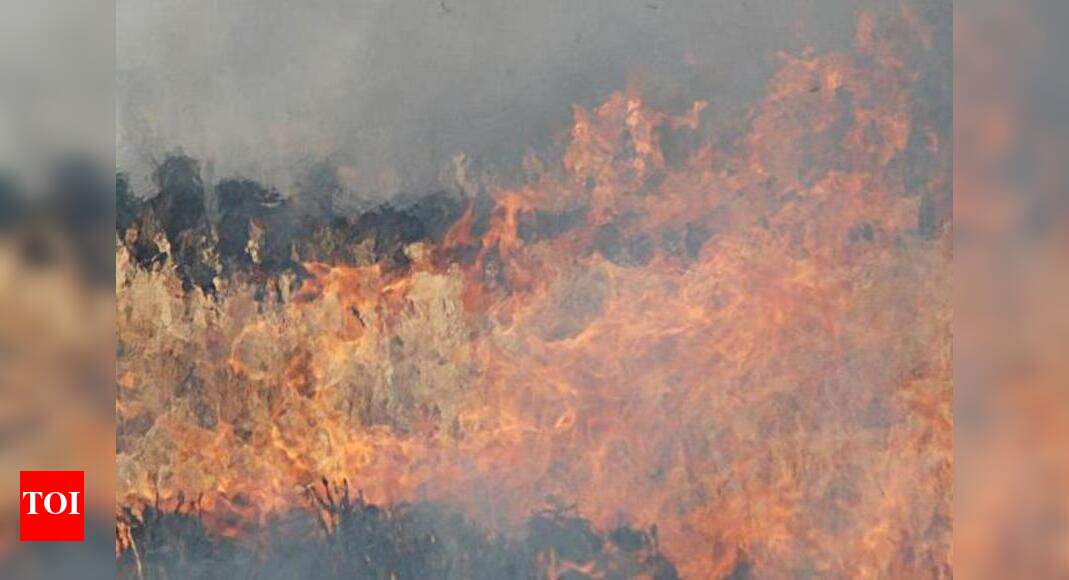 Burning Of Crop: Curb burning of crop residue, officials told ...