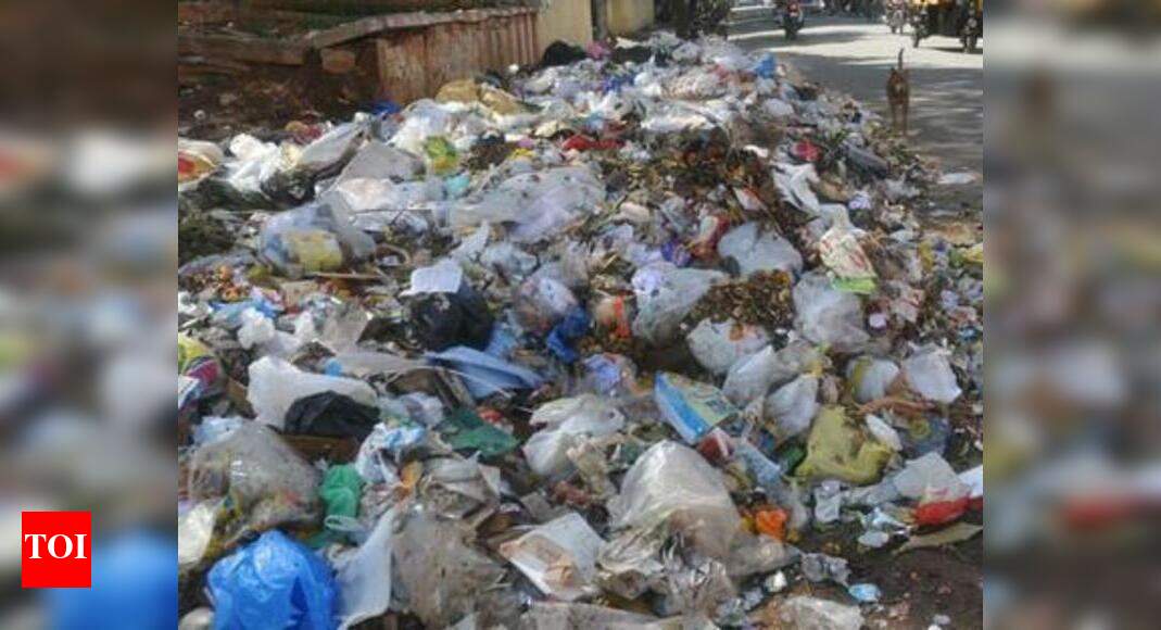 Garbage Collection: Garbage piled up on river banks, NGO files ...