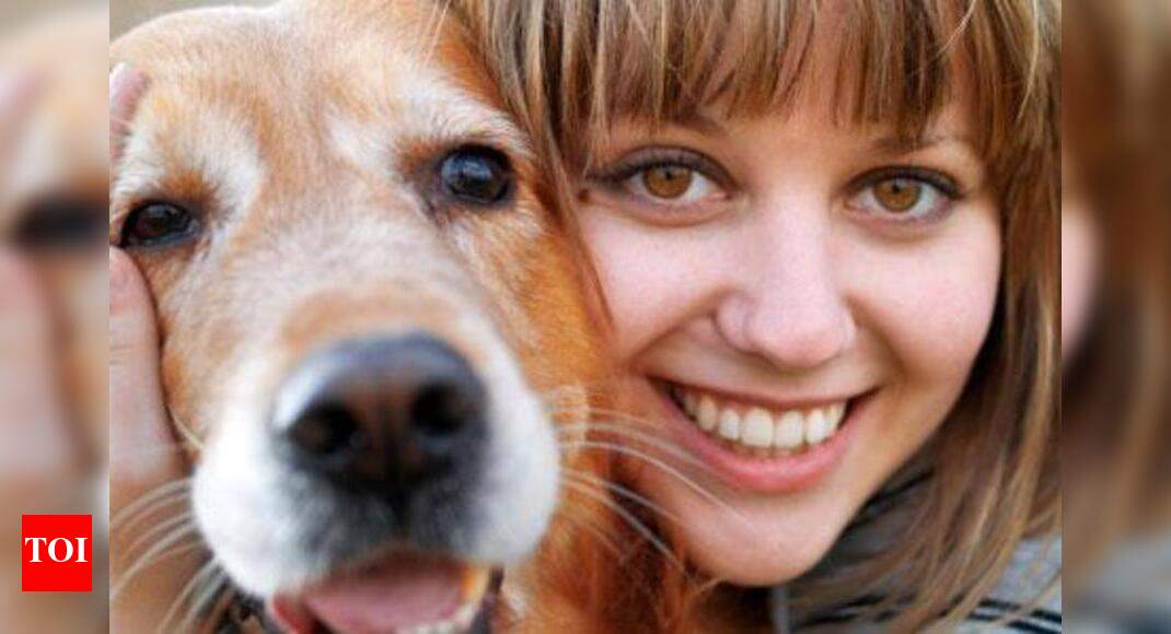 Your dog remembers more than you think - Times of India