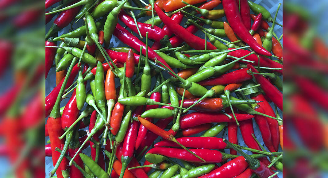 5 spiciest Indian dishes that you must try