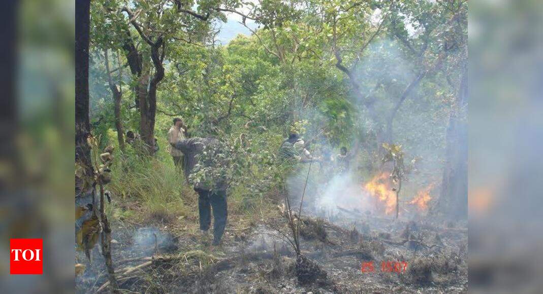 Rise in forest fires forces Maharashtra to draw Rs 30 crore plan ...