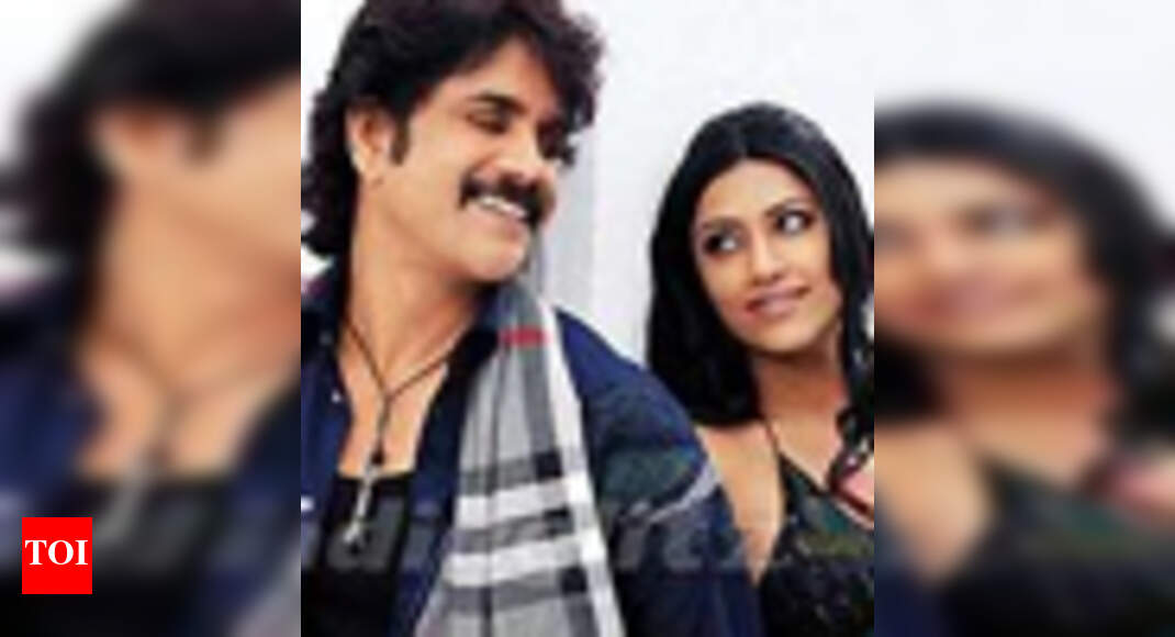 Kedi: Movie Review | undefined Movie News - Times of India