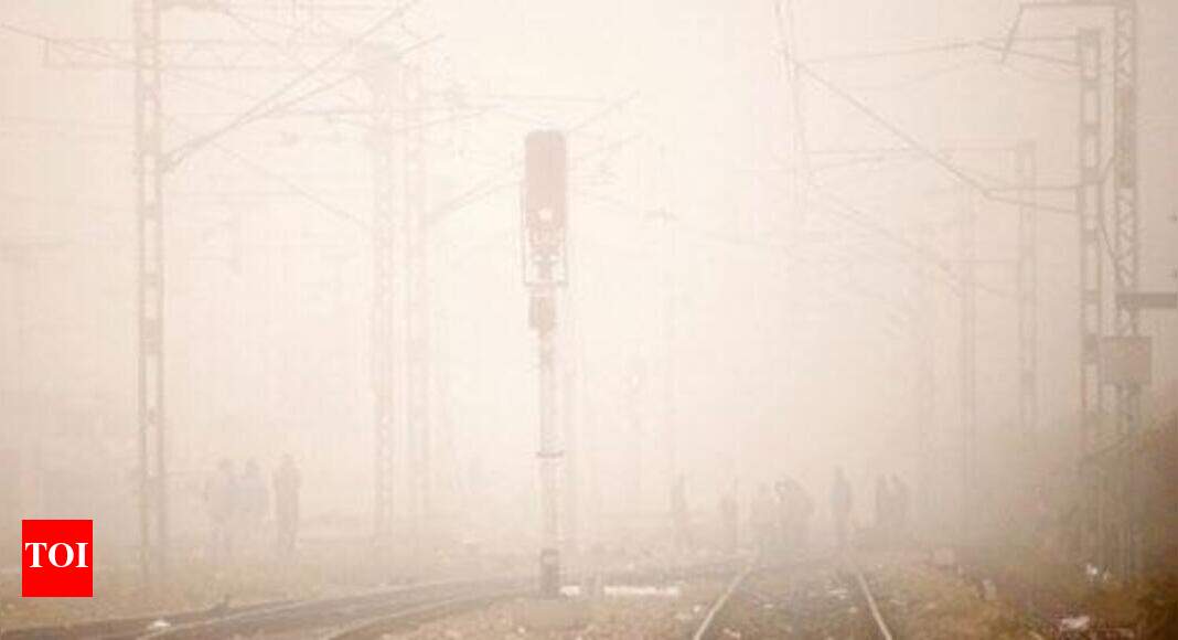 LUCKNOW FOG: 5 killed, 2 injured in road accidents due to fog in Uttar ...