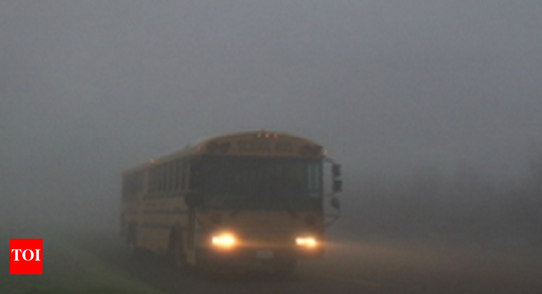 All-weather bulbs in buses to cut out fog | Lucknow News - Times of India