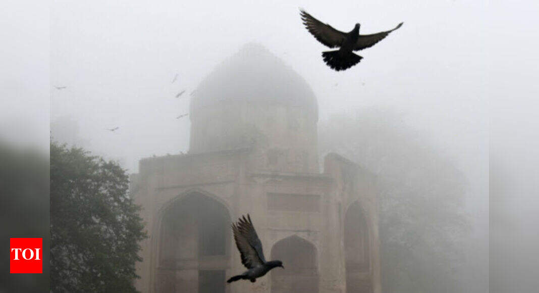 Delhi Fog Today: Get latest news on Delhi Fog and updates on fog in ...