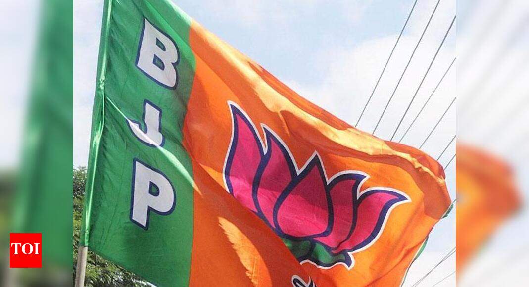 BJP: BJP MLA files complaint over ‘defamatory’ clip | Goa News - Times ...