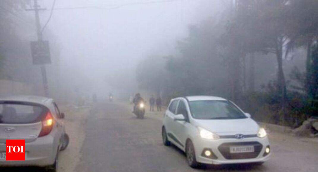 dense fog in Jaipur: Fog claims four lives, hits air, rail and road ...