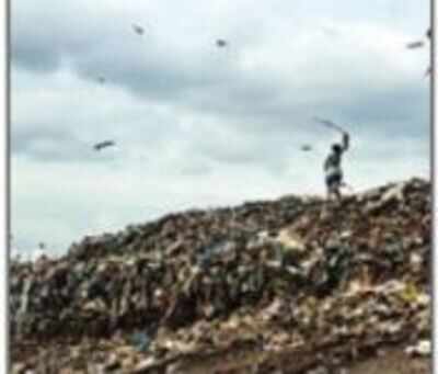 No end to Pune Cantonment Board's Hadapsar garbage crisis | Pune News ...
