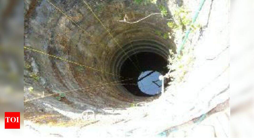 Woman dies after falling into well in Gautampura | Indore News - Times ...