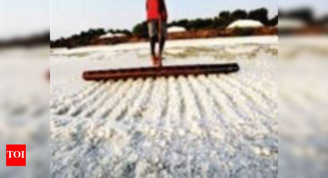 Only 25 acres of Mumbai’s salt pan land can be developed | Mumbai News ...