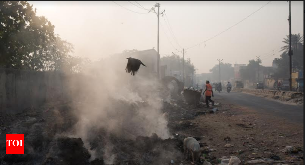 air pollution in varanasi: Zero 'good air days' in Varanasi, Allahabad ...