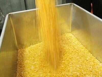 Bumper crop, money crunch send tur dal prices crashing | Mumbai News ...