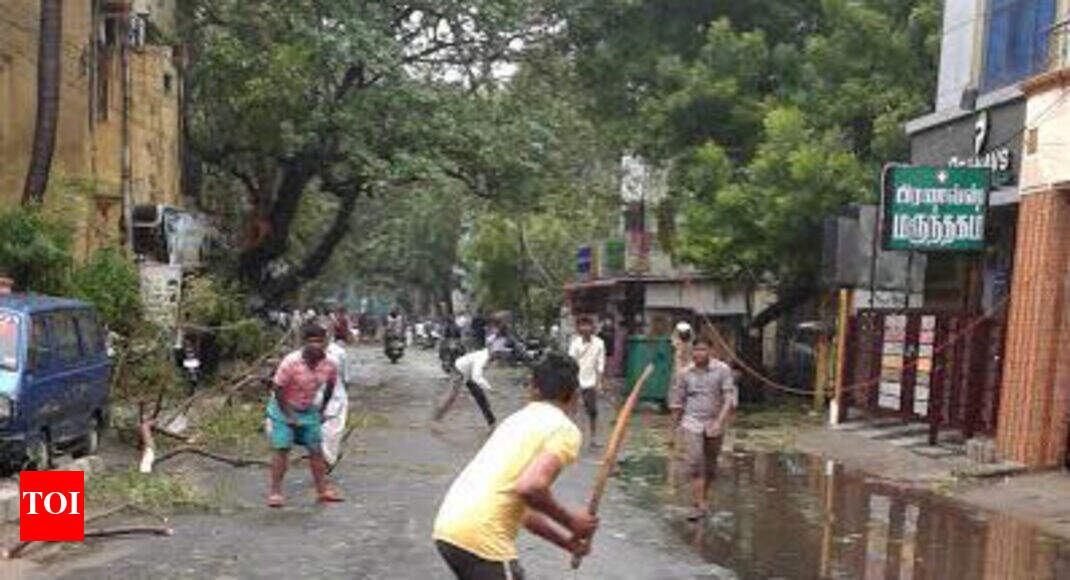 Mandaveli boys do a ‘Chennai 600028’ on cyclone Vardah-ravaged roads ...