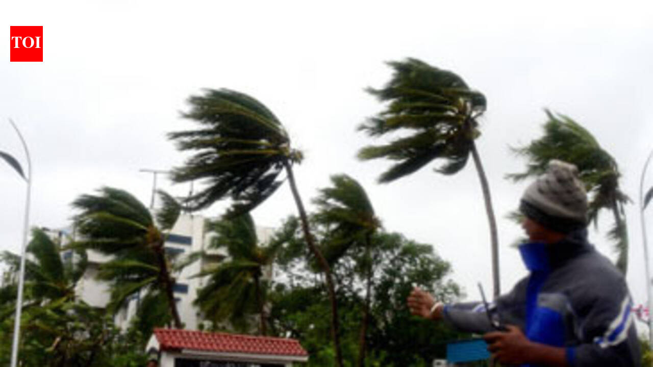 Cyclone Vardah makes landfall, causes heavy destruction in Chennai