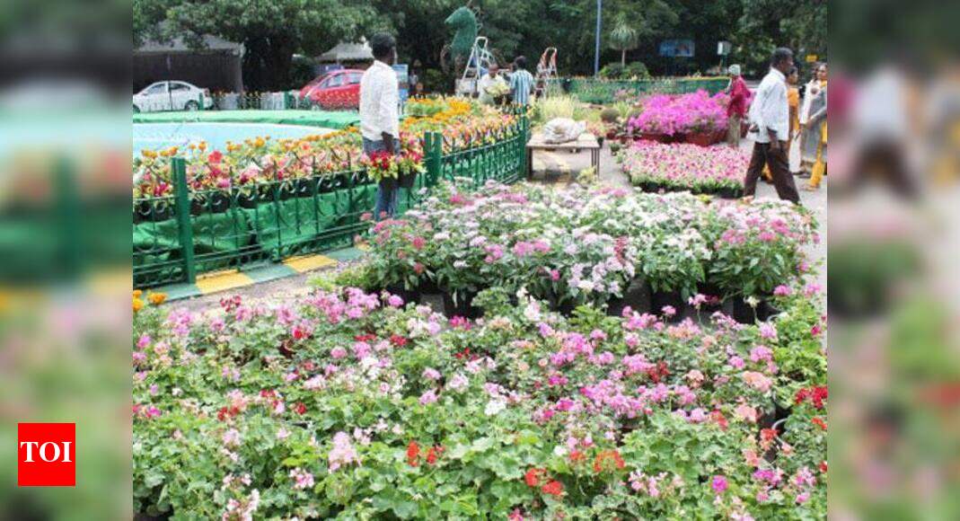 Horticulture experts keen to promote permanent cultivation in Podu ...