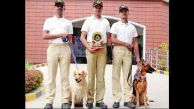 NSG: Karnataka dog unit beats NSG, romps home | Bengaluru News - Times ...
