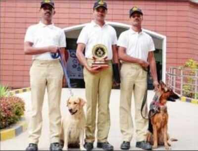 Karnataka dog unit beats NSG, romps home | Bengaluru News - Times of India