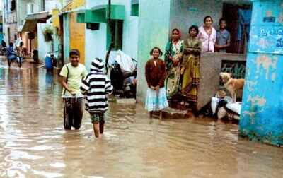 Andhra Pradesh scarred by Vardah disaster trail | Vijayawada News ...